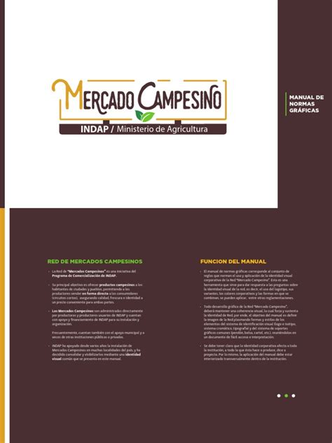 Descargar Manual De Normas Gráficas 2020 0 Pdf Diseño Gráfico Color