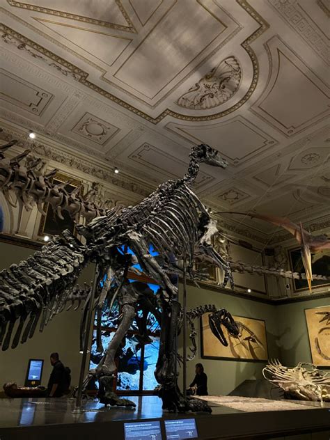 Pin Von Tea Begović Auf Vienna 2022