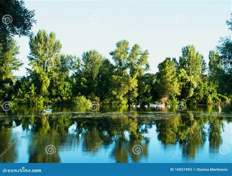 Tree Reflection In Water Stock Image Image Of Tree Boat