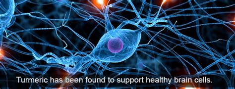 Curcumin And Brain Health Curcumall