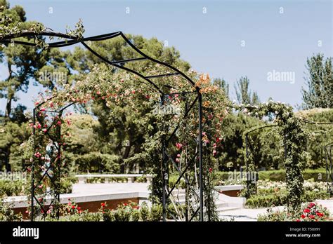 Rosaleda Rose Garden Inside Parque Del Buen Retiro Park In Madrid