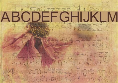 Urdu Nastaliq Unicode Font