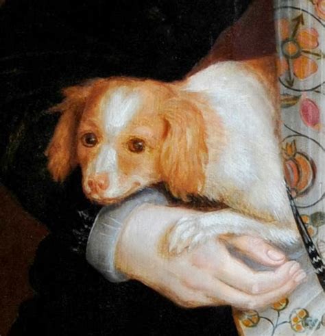Under These Restless Skies Anne Boleyns Pets