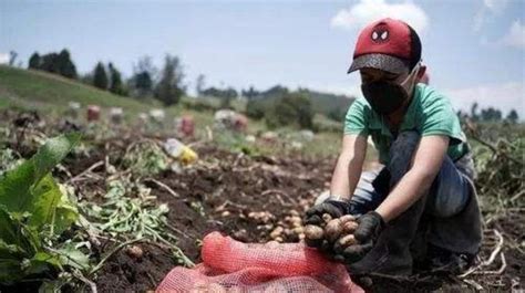 世界濒临至少50年来最严重粮食危机 知乎