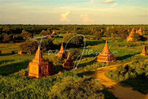 Pagodas In Myanmar Tao Photography