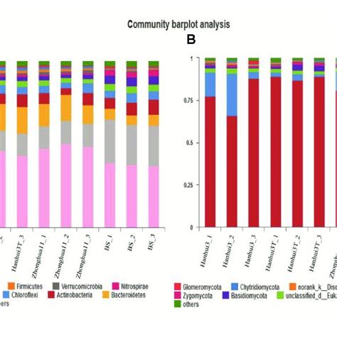 Relative Abundance Of Major Bacterial Phyla A And Fungal Phyla B