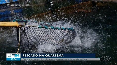 Procura Por Peixes Cresce Durante A Quaresma E Aquece Setor Da Piscicultura No Tocantins