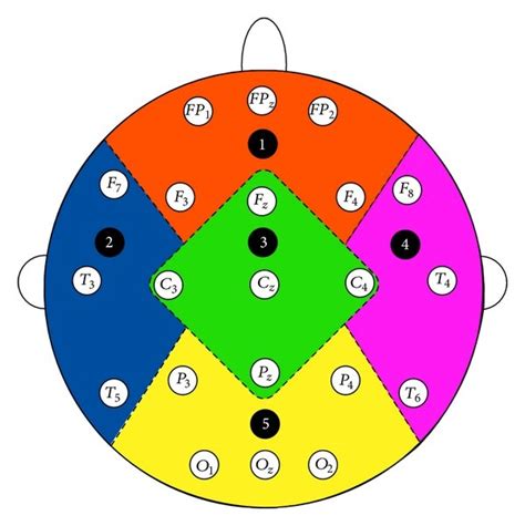 The 21 Channels Used For EEG Recording 15 Download Scientific Diagram