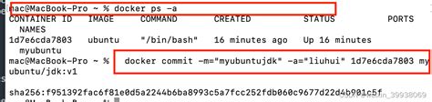 Tongrds Docker 镜像做成与迁移（by Liuhui） Csdn博客
