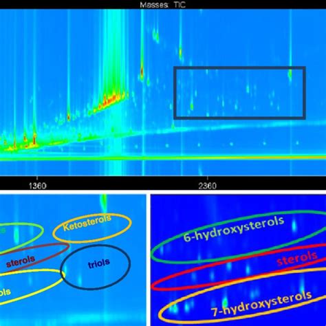 Gc×gctof Ms Two Dimensional Chromatogram A Contour Plot Of The