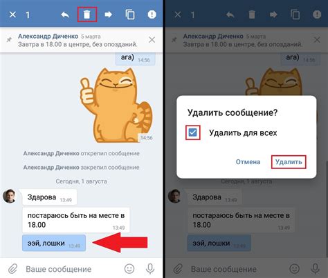 Как удалить сообщение в беседе в ВК