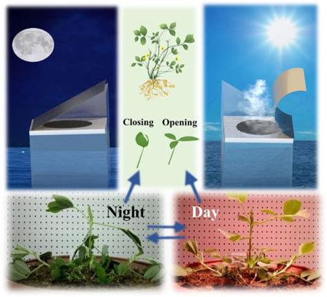 受植物叶启发的 MXene silk 复合材料用于结合机械驱动的智能太阳能蒸汽产生 Nano Research X MOL