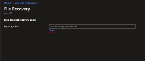 Recuperar Arquivos De Um Backup De Máquina Virtual Do Azure Elton