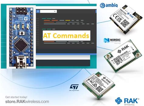 Lora Lorawan Rak Rakwireless Carl Erick Rowan