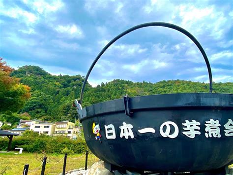 紅葉イチョウの木パトロールweb観光てんどう天童市観光物産協会