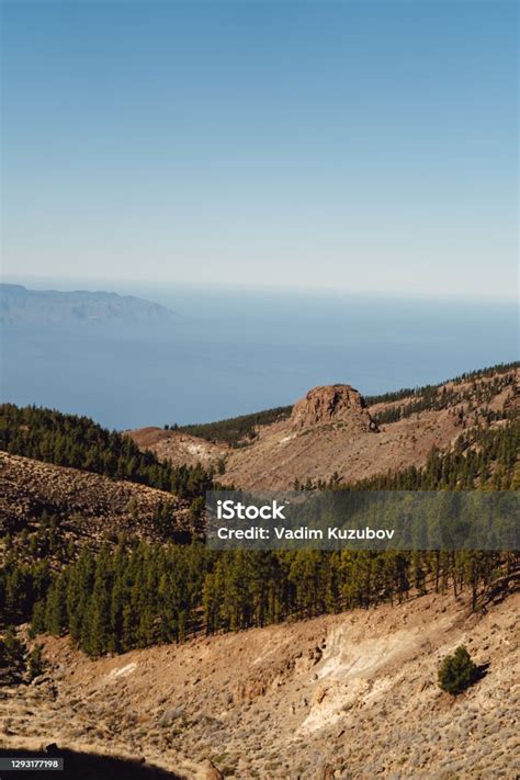 높은 산의 경사면에 바다와 산 숲에 파노라마 보기 소나무 위의 푸른 하늘 트레킹 테네리페 카나리아 제도 스페인에 소요된 아름다운 날 경관에 대한 스톡 사진 및 기타 이미지