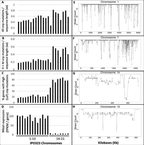 Pangenome Structural Features And Presenceabsence Polymorphisms Across