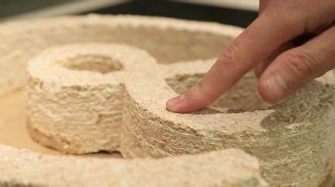 Innovative Biodegradable Packaging Solutions