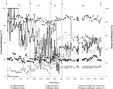 Performance Of The Bioreactor Nitrite And Nitrate Concentrations In Download Scientific