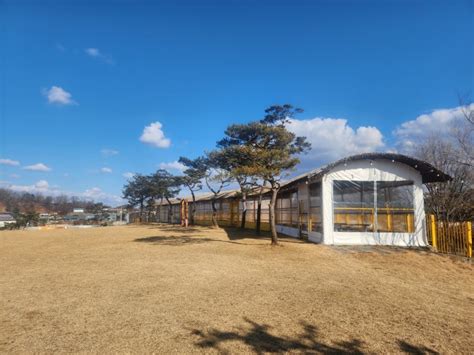 [내돈내산]파주 대형카페에서 브런치로 즐기는 이색 데이트 코스ㅣ다온숲 풀빛정원 네이버 블로그