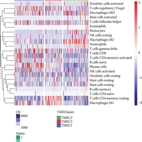 A Relationships Of 22 Different Immune Cell Types In TME The Color