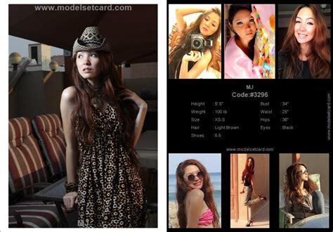 Model SetCard