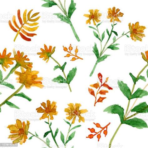 水彩の手は白い背景に秋の菊の花や葉とシームレスなパターンを描きました イラストレーションのベクターアート素材や画像を多数ご用意