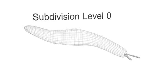 Flatworm 3d Model In Insects 3dexport