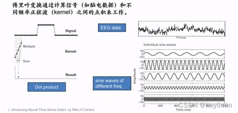 静息态脑电信号谱分析 学习笔记静息态脑电一般怎么处理 Csdn博客