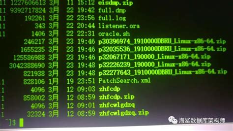 oracle 19c 打补丁 墨天轮