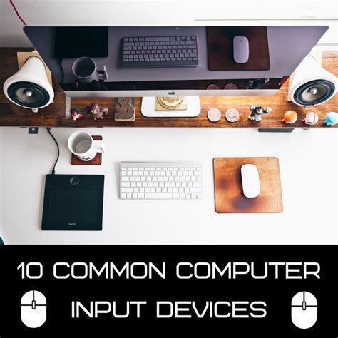Computer Basics What Is An Input Device Examples Computer Basics Input Devices Computer