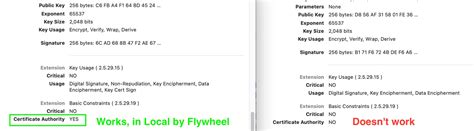 Devkinsta 280 Ssl Certificate Not Valid Application Support