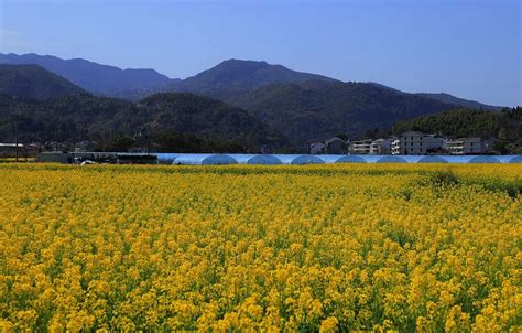 永嘉郑山风光 中关村在线摄影论坛