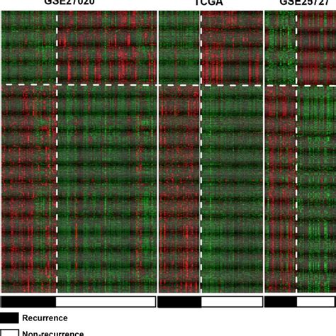A Two Way Hierarchical Clustering Heat Map Of Tcga Gse27020 And