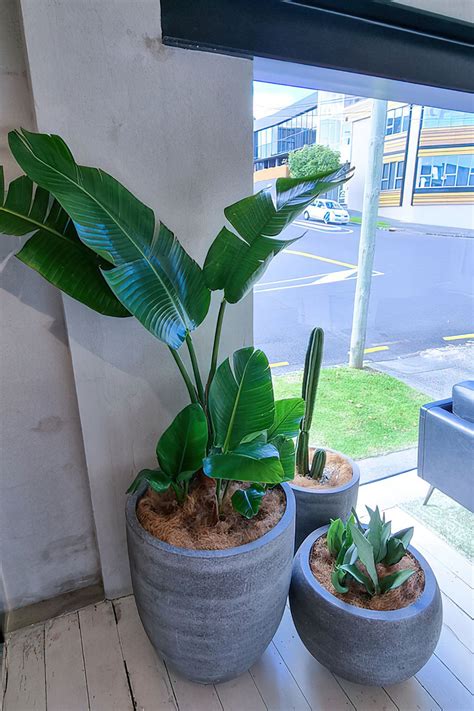 Previously Unavailable By Grasshopper Gardens Archipro Nz