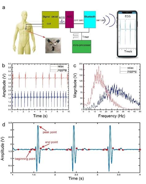 Ecg Signal Monitoring System A Schematic Illustration Of The System Download Scientific