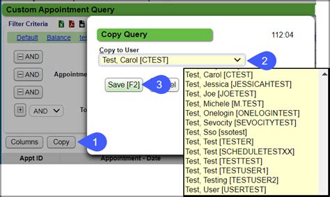 Custom Appointment Query CAQ