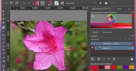 Image Background Removal Using Krita