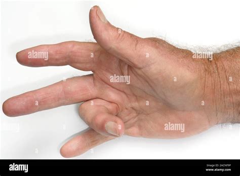 Not For Use In Television Not For Use In Television Flexion Bending