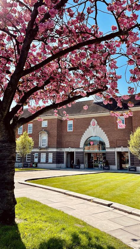 Middlesex University On Linkedin 🌻 Our Campus Is Officially In Full