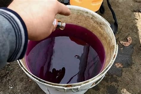 Как использовать марганцовку для клубники, правила полива