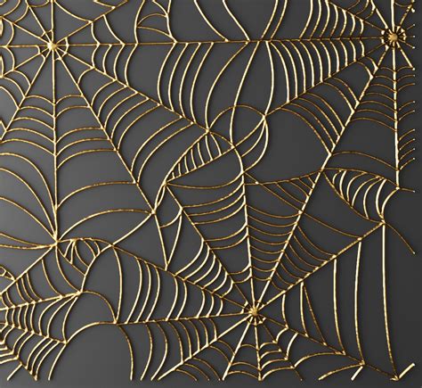3d Cobweb Web Model