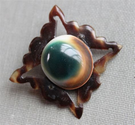 Victorian Operculum And Tortoise Shell Brooch Etsy Tortoise Shell
