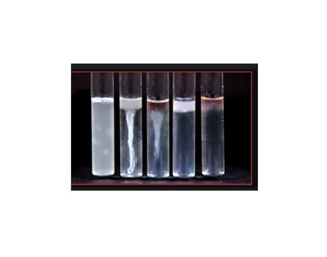 Fluid Thioglycollate Broth Quiz