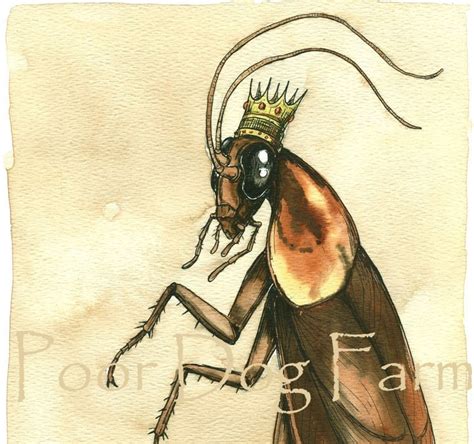 Cockroach Art