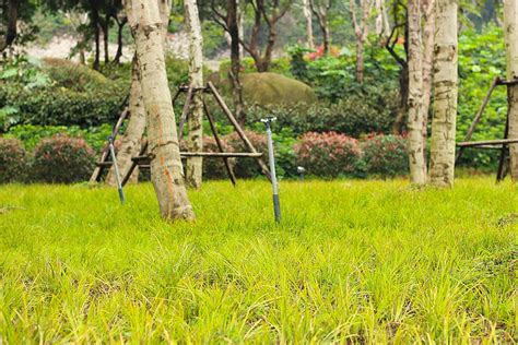 Outdoor Grass Material Background Outdoor Grass Material Background