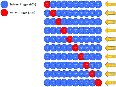 Diagram For The Cross Validation Procedure The Red Circles Represent Download Scientific