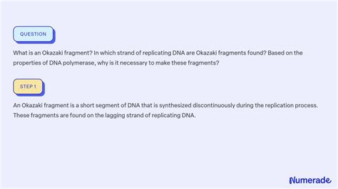 Solved What Is An Okazaki Fragment In Which Strand Of Replicating Dna Are Okazaki Fragments