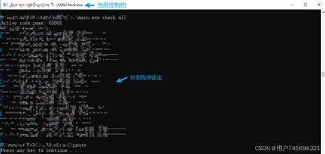 调用外部程序后将输出显示在当前控制台调用显示程序放哪里 Csdn博客