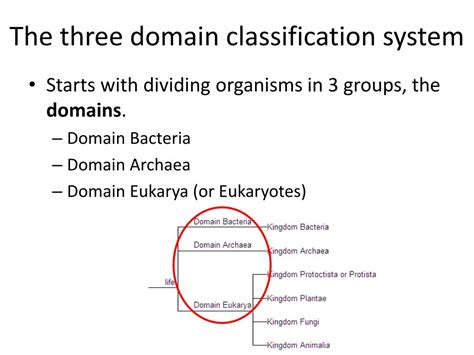 Ppt Classification System Powerpoint Presentation Free Download Id